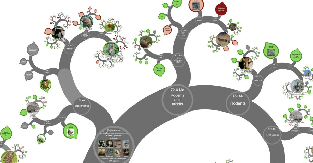 OneZoom Tree of Life Explorer – Canard PC